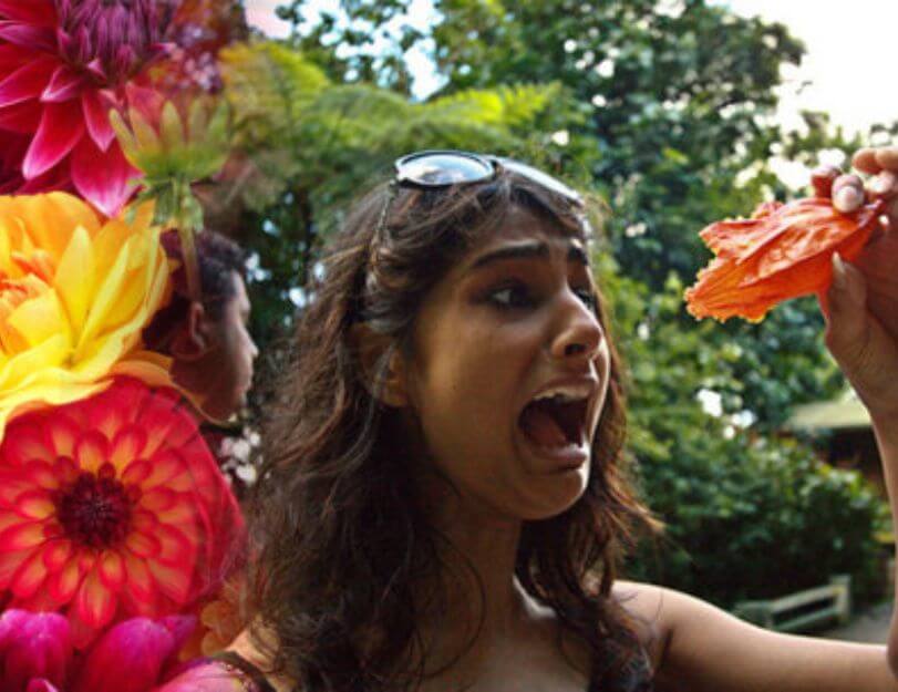 Fear of Flowers: Everything About Anthophobia