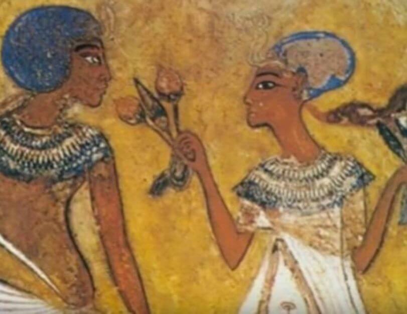 Fear of Flowers: Everything About Anthophobia